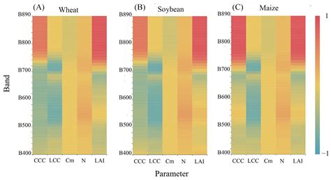 Machine Learning Algorithms For The Retrieval Of Canopy Chlorophyll