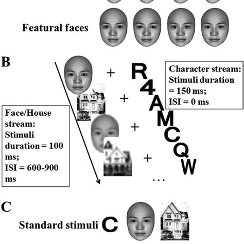Pdf Double Dissociation Of Configural And Featural Face Processing On P1 And P2 Components As