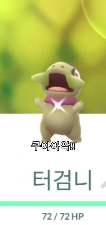 포켓몬고 터검니 이로치 강화and진화쇼 Youtube