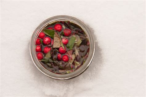 Wintergreen Ice Cream Recipe Backyard Forager