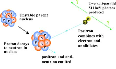 Figure 1 From Fpga Based Data Acquisition System For A Positron