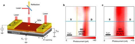 Single Photon Detectors For Quantum Integrated Photonics