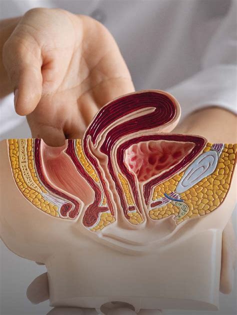 Lung Opacity All About Cloudy Lungs Happiest Health