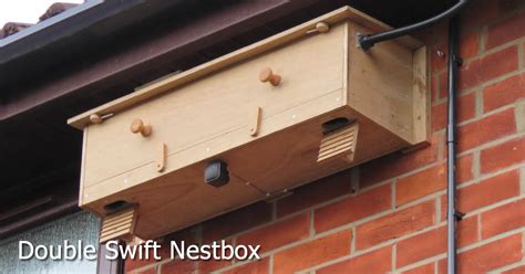 Our Double Swift Nestbox