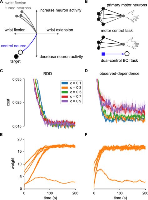 Application To Bci Learning A Dual Control Bci Setup 50 Vertical Download Scientific