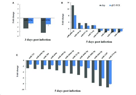 Verification Of Microarray Data Using Real Time PCR The Expression Download Scientific