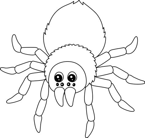 Coloring Tarantula Pages Desert Printable Animals Para Colorear