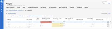 Risk Segmentation Risk Summary Page Mindbridge English Us