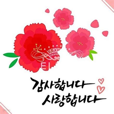 카네이션 레터링 5D 보석십자수 액자세트 30x30 예스24
