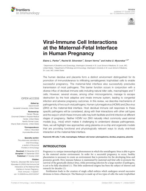 Pdf Viral Immune Cell Interactions At The Maternal Fetal Interface In
