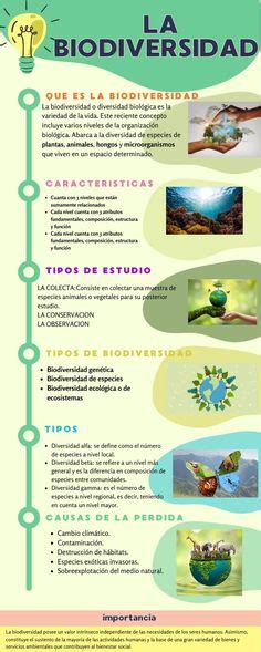 Imagenes De La Biodiversidad