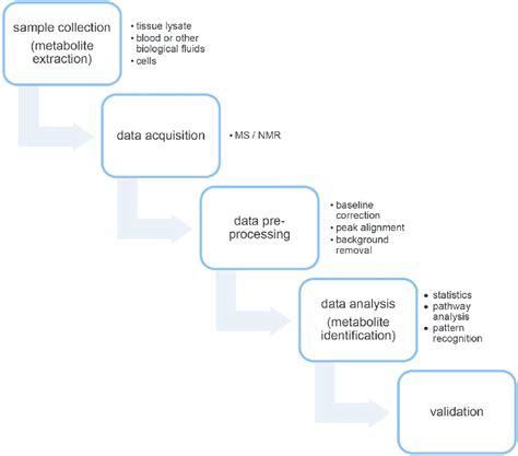 Metabolomics Work Flow Download Scientific Diagram