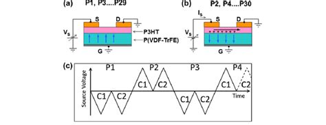 Diode Configured Fefet In A Reverse And B Forward Bias The Source Download Scientific