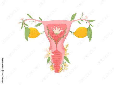 Female Reproductive System Vector Cute Illustration With Flowers Woman Womb And Vagina Concept