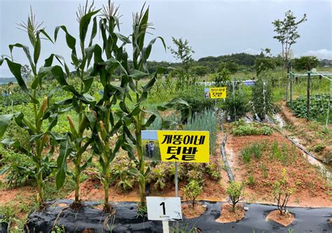 전남도농업박물관 주말농장 면적·기간 확대…2월 3일까지 신청접수 노컷뉴스