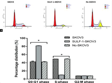Cell Cycle Analysis A Represent Cell Cycle Analysis In Download Scientific Diagram