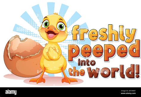 Duck Hatching Egg Stock Vector Images Alamy