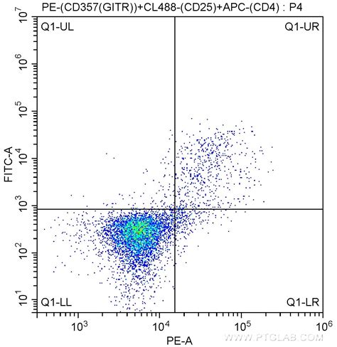 Cd357 Gitr Antibody Pe 65102 Proteintech