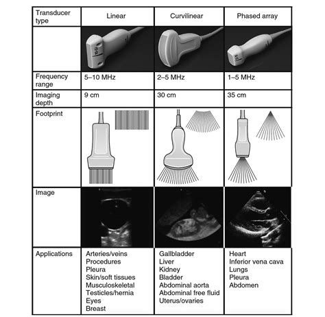 Ultrasound Probe Orientation Breast Ultrasound Probe Positioning