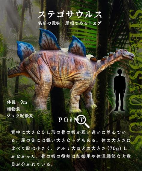 ダイナソーパーク 広島県福山市みろくの里公式HP 瀬戸内広島の遊園地