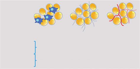 Comparison Of Nested Linear Regression Models With Relative Gene
