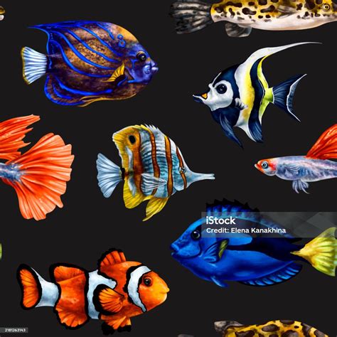 밝은 열대 다채로운 물고기와 완벽 한 패턴 해양 수중 생물 여행 다이빙 및 스노클링은 이국적인 장소입니다 직물 배너 포장지 벽지 일러스트레이션 깊은에 대한 스톡 벡터 아트