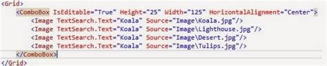 Codingnode TextSearch Example In WPF