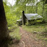 Jakes Creek Trail To Avent Cabin Tennessee 764 Reviews Map Alltrails