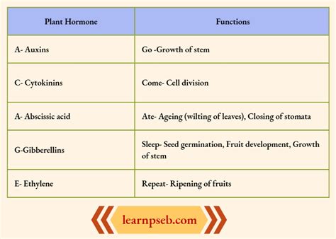 PSEB Class Biology Solutions For Chapter Control And Coordination Learn PSEB