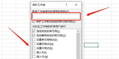 如何隐藏和保护excel表格中的敏感数据