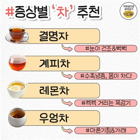 증상별 효과직빵 호록호록 마시는 차 추천 지식사이트 닭고기 요리 좋은 음식 음식