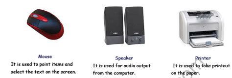 Cbse Class 3 Computer Science Computer Basics Notes