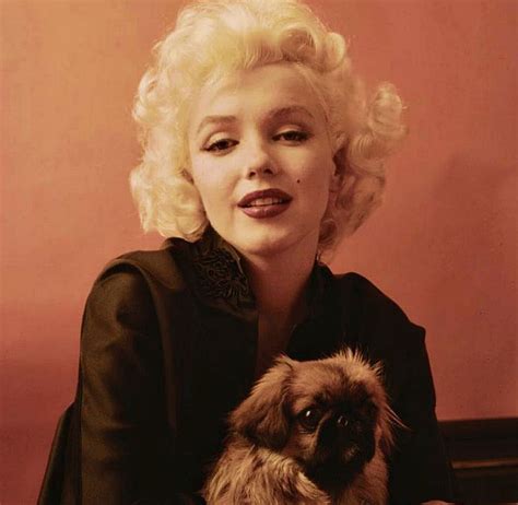 Marilyn Monroe Pictures Hotness Rating Unrated