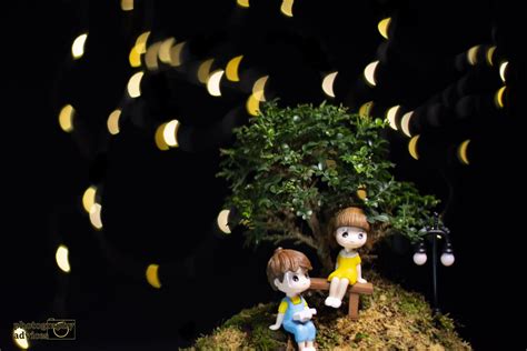 Playing With Highlight Bokeh A Fun Project Photography Advices