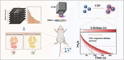 基于持续发光寿命的近红外纳米平台，通过深度学习实现次氯酸盐的高保真生物传感 Analytical Chemistry X Mol
