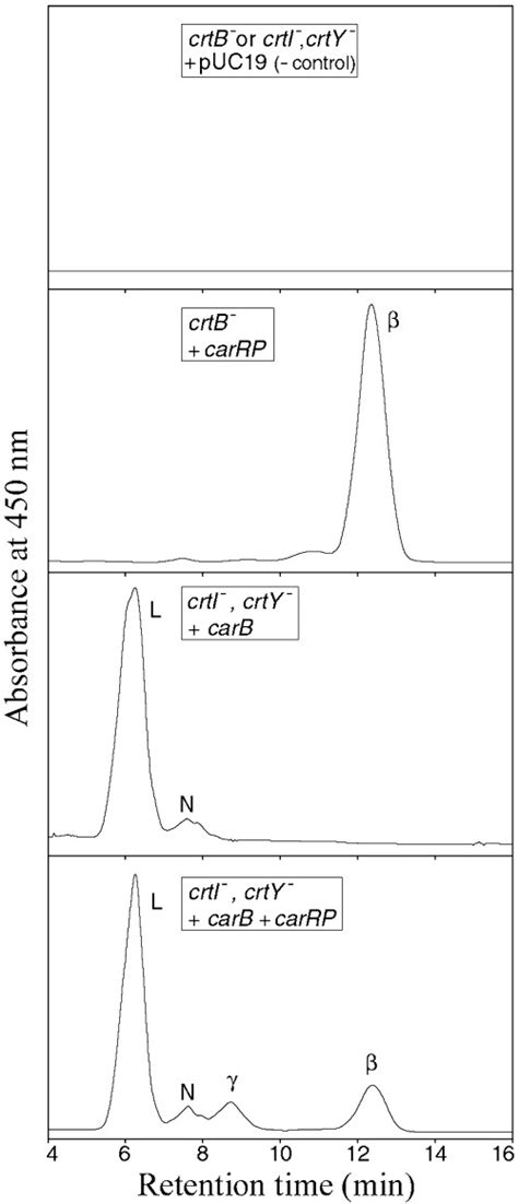 Hplc Elution Profile Of Carotenoids Produced In Several Transformants