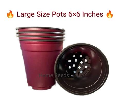 Pack Of 10 Large 8×8 Inches Plastic Pots Pots For Seedling Or Flower