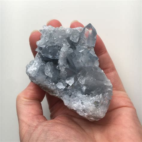 Celestien Angelsandco