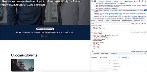 Links Dont Work When Live Divs Are Set To None In Designer But Will Appear As Flex When Live