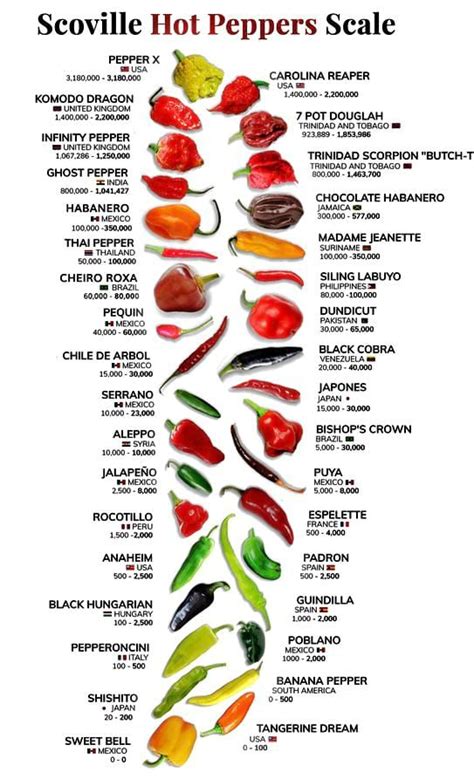 Pepper Heat Or Cold At Connie Rakes Blog