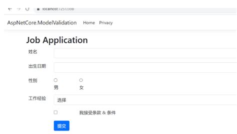 Net Core中的表单验证功能 Duidaima 堆代码