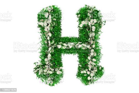 녹색 잔디와 꽃의 문자 H 3d 렌더링 개념 기호에 대한 스톡 사진 및 기타 이미지 개념 기호 알파벳 H 0명 Istock