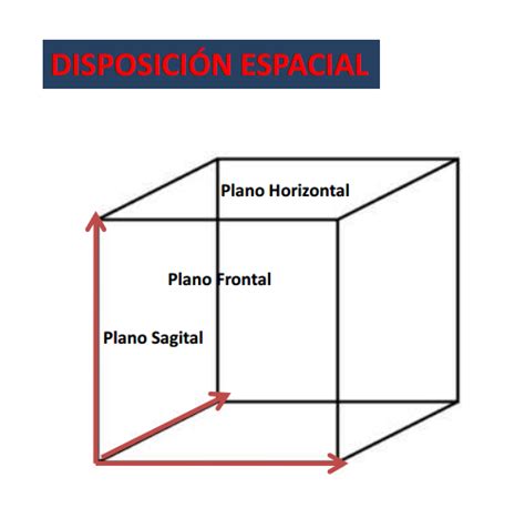 Tu Blog MÉdico