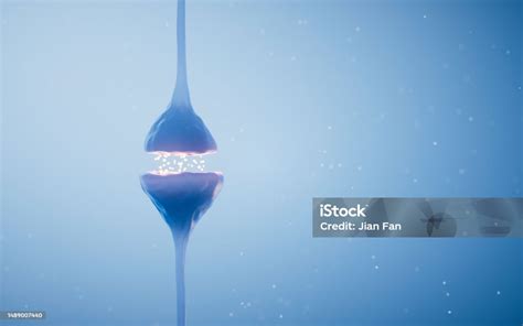 뉴런 세포의 시냅스 생물학 개념 3d 렌더링 3차원 형태에 대한 스톡 사진 및 기타 이미지 3차원 형태 가지돌기 개념 Istock