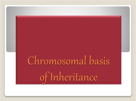 Sex Linked Inheritance Sex Influence Inheritance And Sex Limited