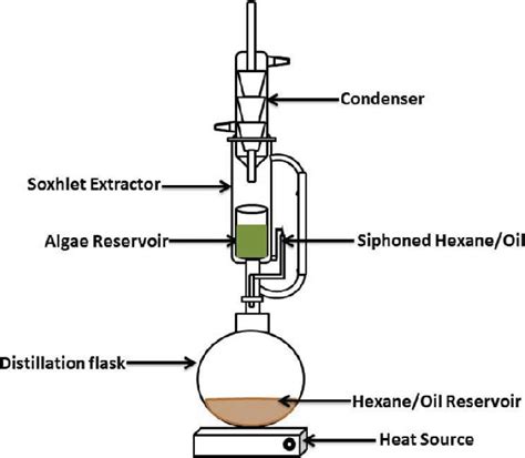 How Does An Oil Extractor Work At Leona Flowers Blog