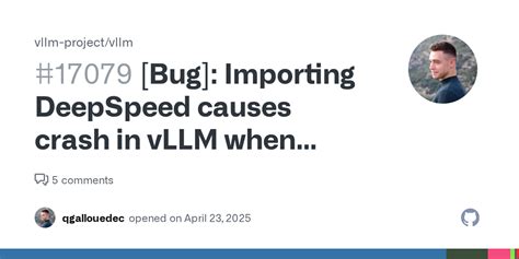 Bug Importing Deepspeed Causes Crash In Vllm When Running With Data