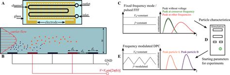 A Top View Of The Microfluidic Device Sketch B The Microfluidic