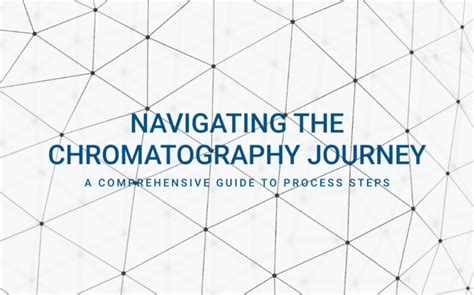 Eliminate Impurities With Chromatography Purifying Mitragynine Rotachrom Technologies