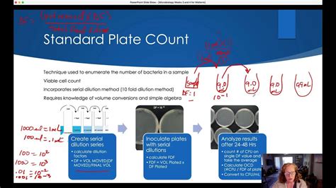 Micro Lab Standard Plate Count Youtube